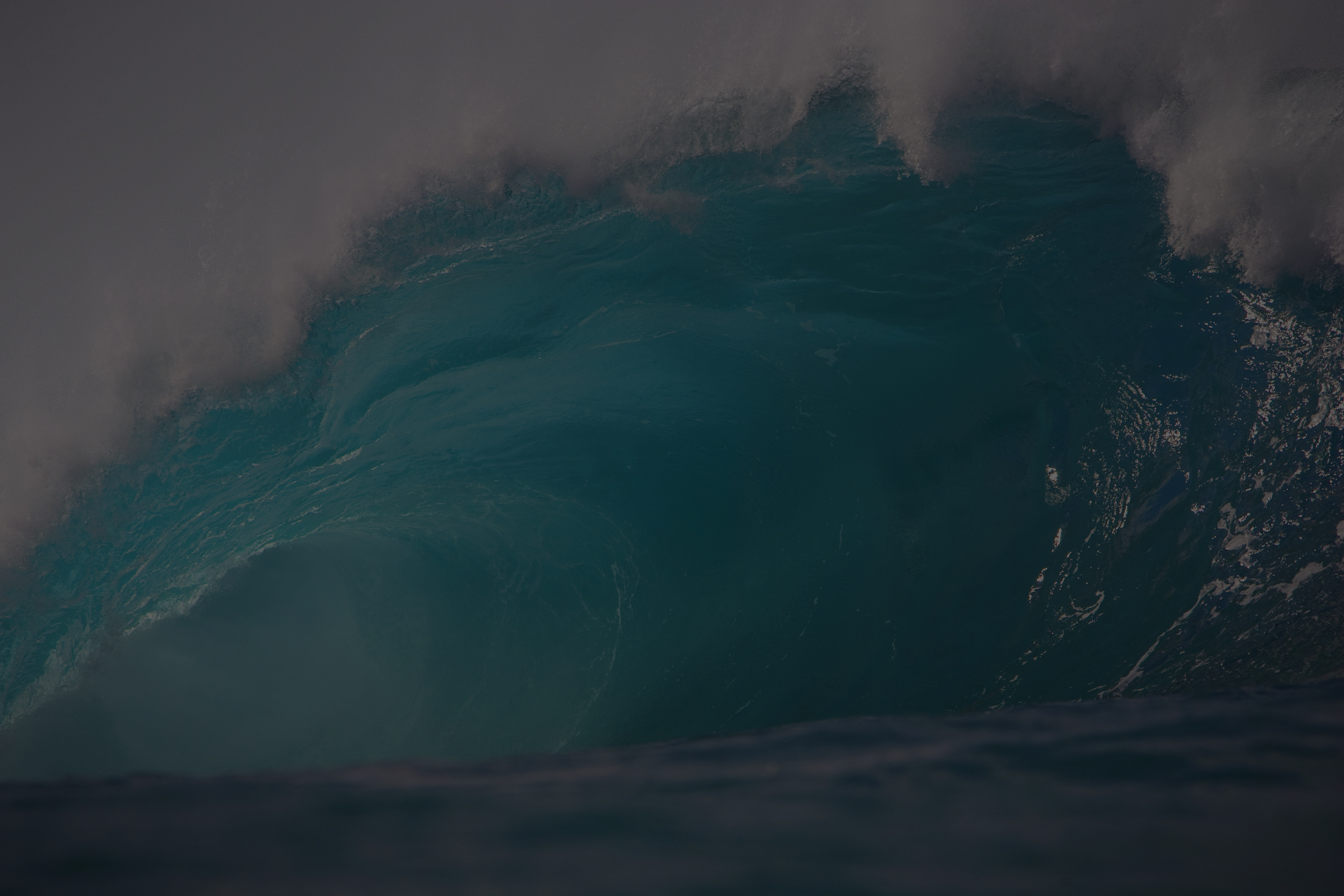 HOME - SWELL EXPRESSION