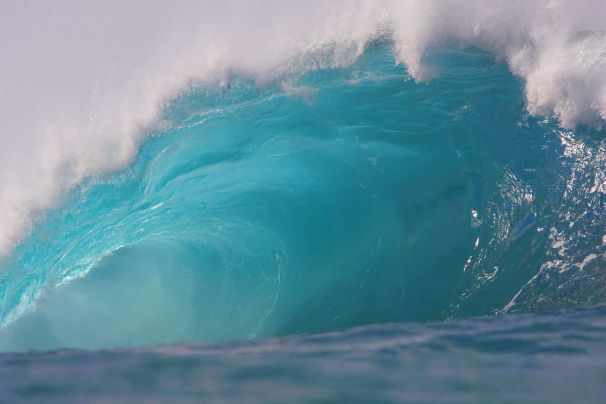 ACCUEIL - SWELL EXPRESSION